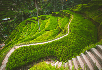 Step Into Paradise - Bali FAM Registration is Live