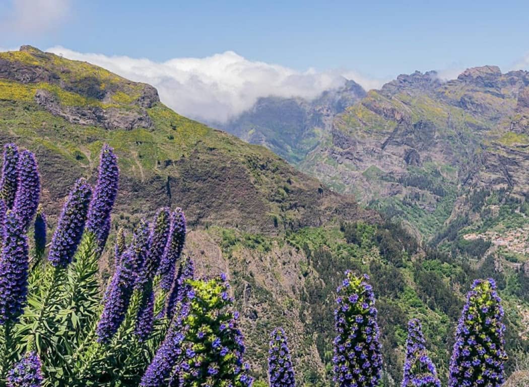 Azores or Madeira - Which Island is Right for you?